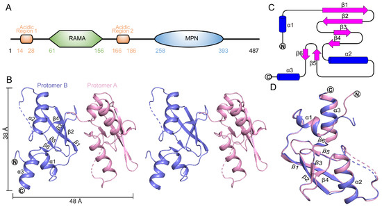 Structures of MPND Reveal the Molecular Recognition of Nucleosomes