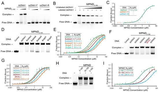 Structures of MPND Reveal the Molecular Recognition of Nucleosomes