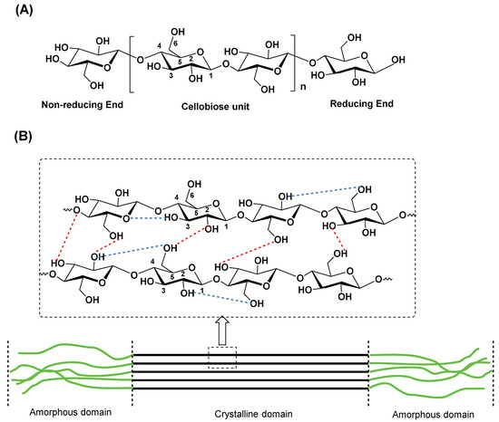 Porphyrin Photosensitizers Grafted in Cellulose Supports: A Review