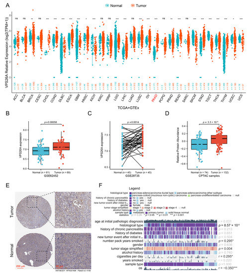 The Prognostic Value and the Oncogenic and Immunological Roles of ...