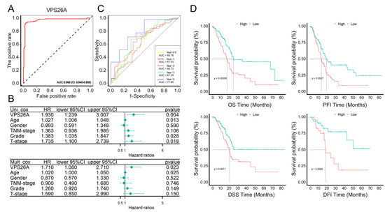 The Prognostic Value and the Oncogenic and Immunological Roles of ...