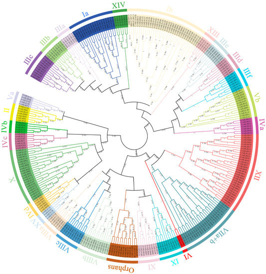 Frontiers Genome-wide Identification, Characterization, And, 44% OFF Frontiers Genome-wide Identification, Characterization, And, 44% OFF