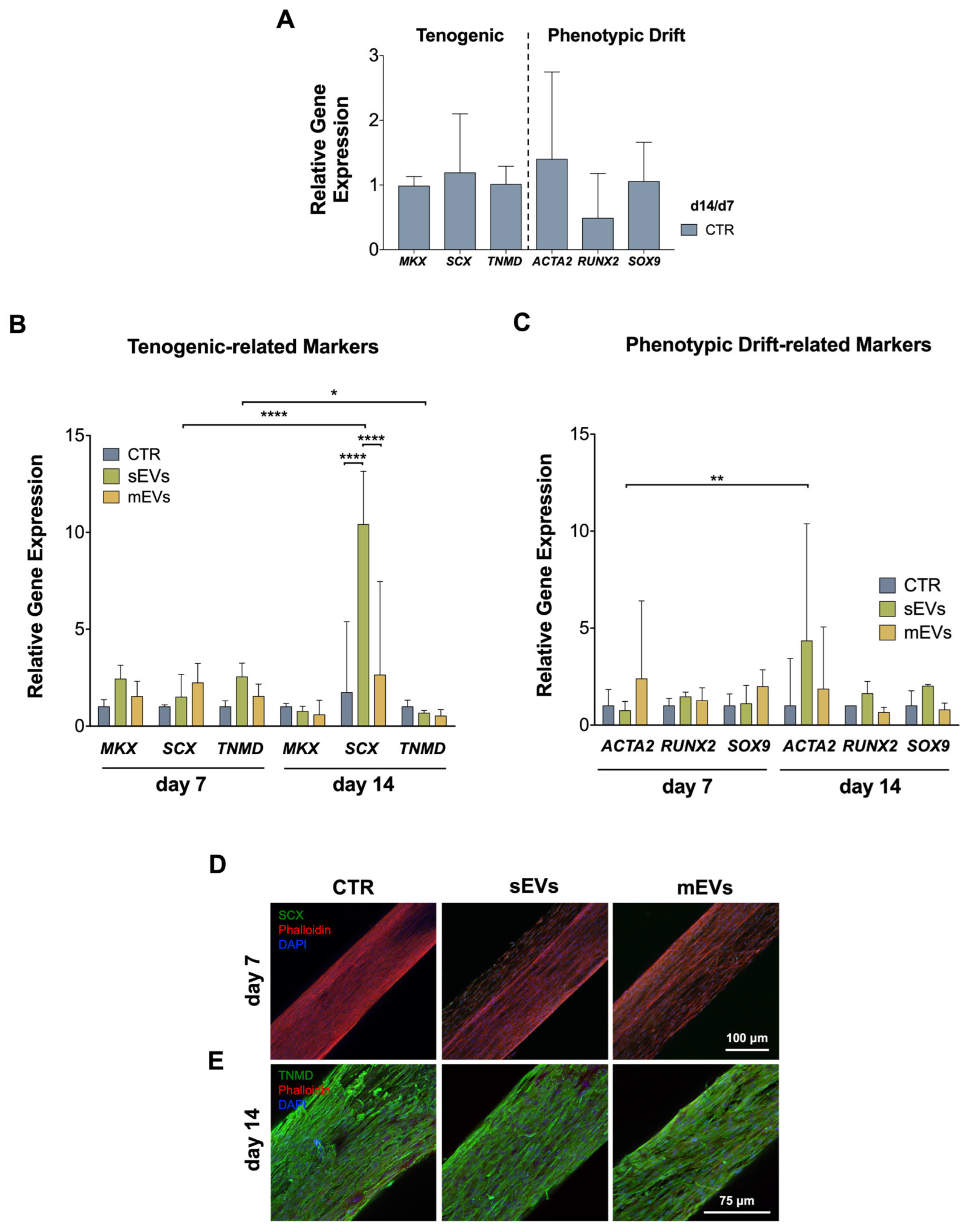 IJMS | Free Full-Text | Platelet-Derived Extracellular Vesicles Promote ...