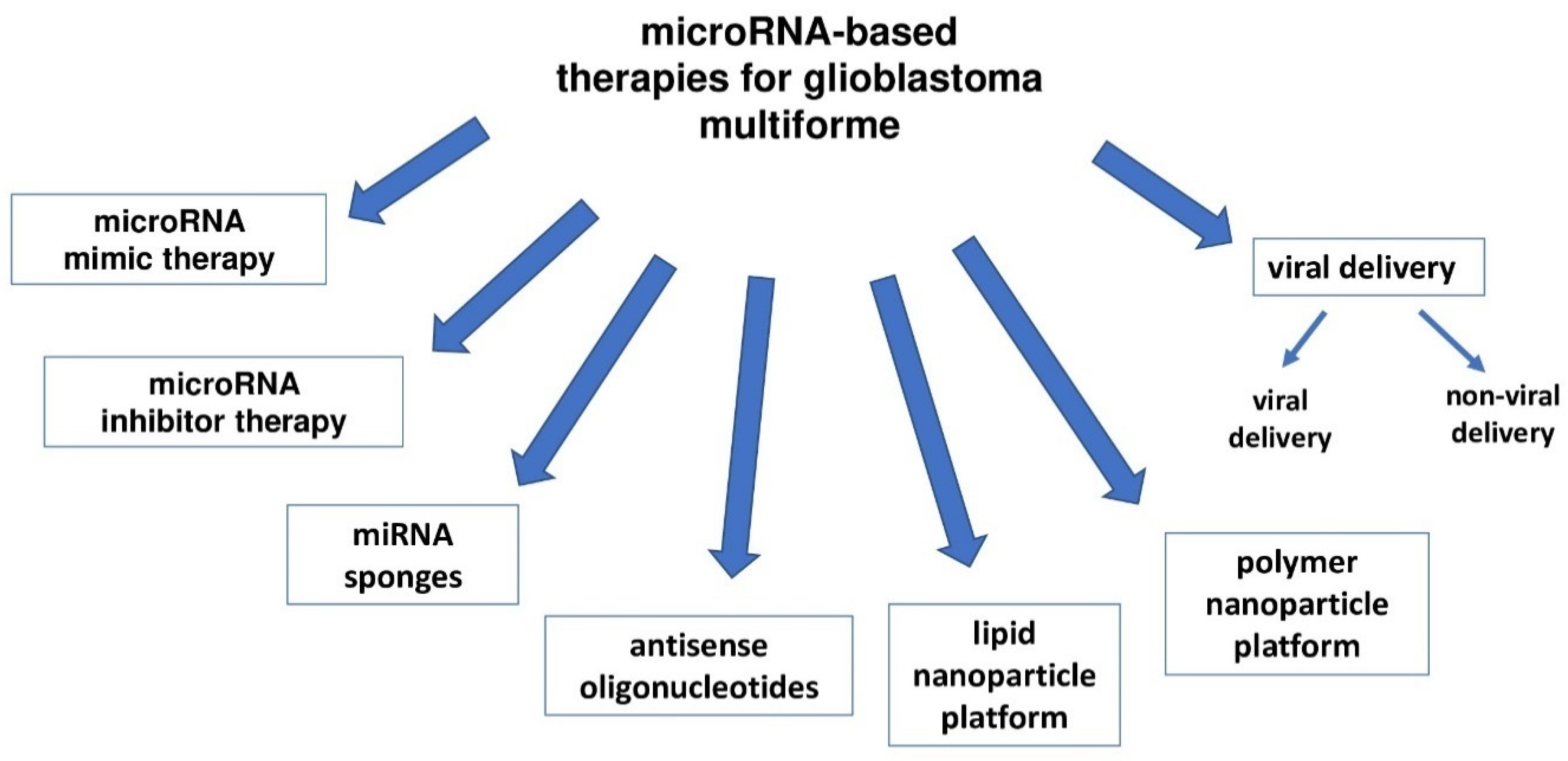 microRNAs (miRNAs) in Glioblastoma Multiforme (GBM)—Recent Literature Review