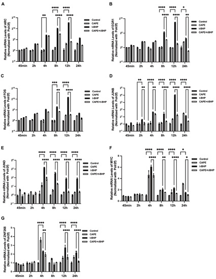 Molecular Mechanisms of Oxidative Stress Relief by CAPE in ARPE−19 Cells