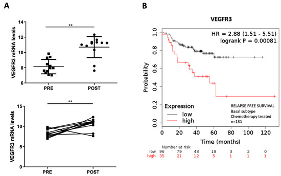 IJMS | Free Full-Text | High VEGFR3 Expression Reduces Doxorubicin Efficacy in Triple-Negative ...