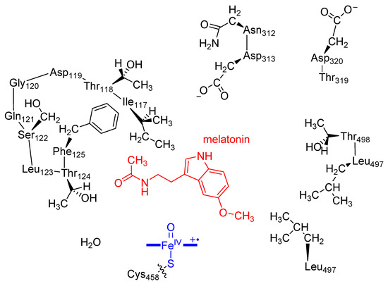 IJMS | Free Full-Text | Melatonin Activation by Cytochrome P450 ...