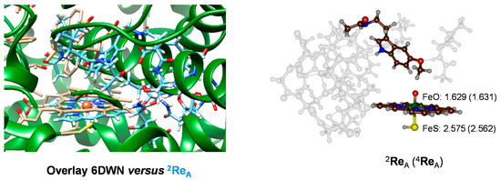 Melatonin Activation by Cytochrome P450 Isozymes: How Does CYP1A2 ...