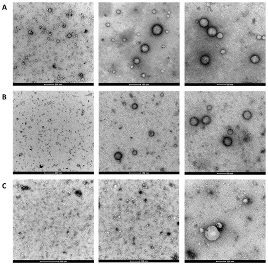 Size-Exclusion Chromatography Combined with Ultrafiltration Efficiently ...