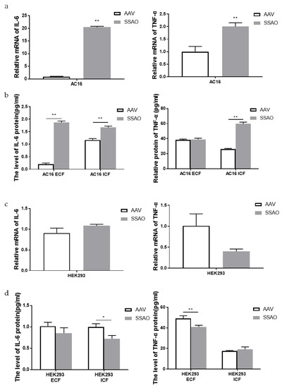IJMS | Free Full-Text | The Biological Implication of Semicarbazide ...