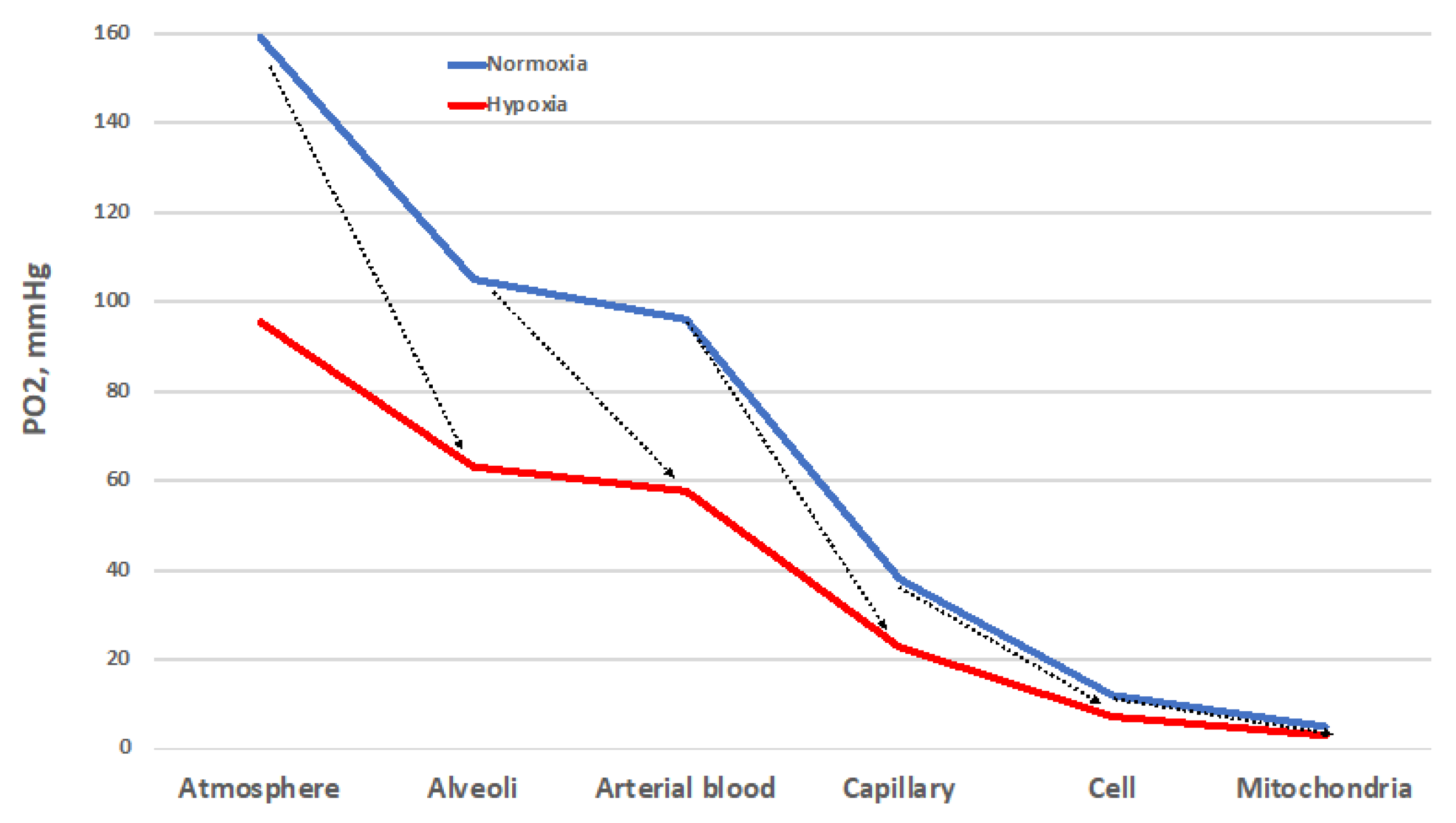 IJMS | Free Full-Text | The Oxygen Cascade from Atmosphere to Mitochondria as a Tool to ...