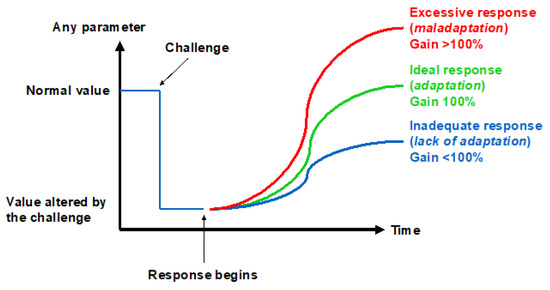 The Oxygen Cascade from Atmosphere to Mitochondria as a Tool to ...
