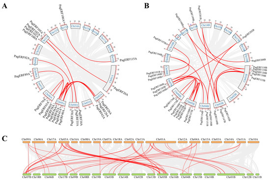 Genome-Wide Identification of the ERF Transcription Factor Family for ...