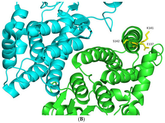 A Key Role in Catalysis and Enzyme Thermostability of a Conserved Helix ...