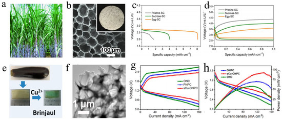 Biomass-Derived Carbon Materials for the Electrode of Metal–Air Batteries