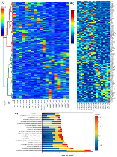 Differential Expression of MED12-Associated Coding RNA Transcripts in ...