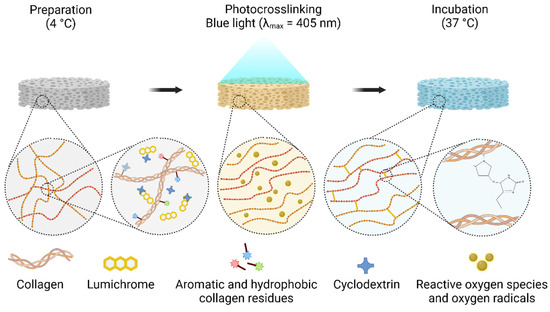 The Use of Collagen-Based Materials in Bone Tissue Engineering