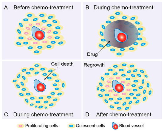 Quiescent And Senescent Cells Are Different Quiescent