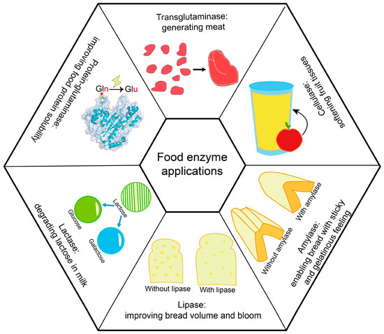 Possibilities of Using De Novo Design for Generating Diverse Functional ...