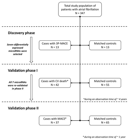 IJMS | Free Full-Text | Circulatory miR-411-5p as a Novel Prognostic Biomarker for Major Adverse ...