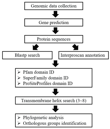 Genome-Wide Identification of G Protein-Coupled Receptors in Ciliated ...
