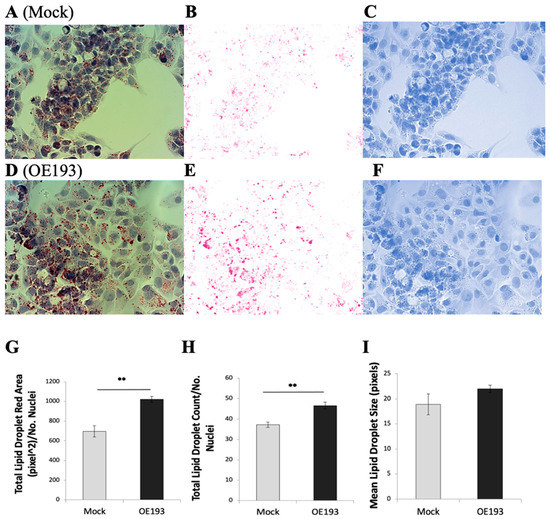 Pre-Diabetes-Linked miRNA miR-193b-3p Targets PPARGC1A, Disrupts ...