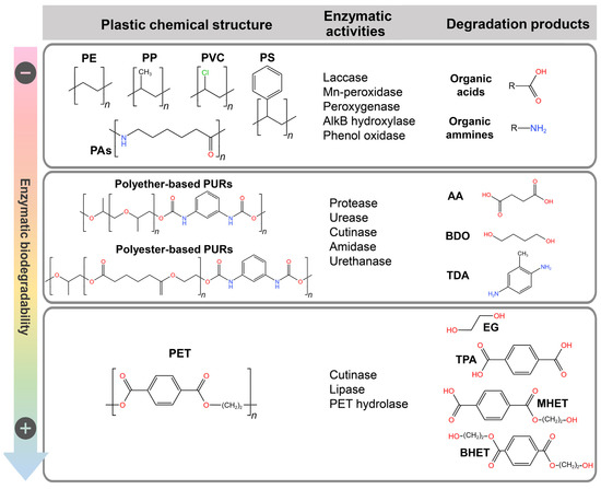 Microbial Enzyme Biotechnology to Reach Plastic Waste Circularity ...