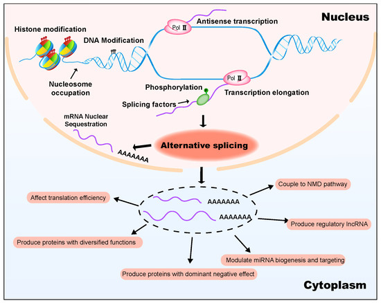 Alternative Splicing in the Regulatory Circuit of Plant Temperature ...