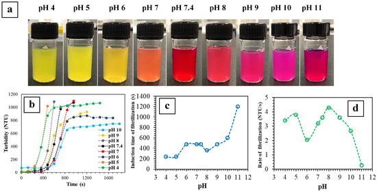 Effect of Fibrillization pH on Gelation Viscoelasticity and Properties ...
