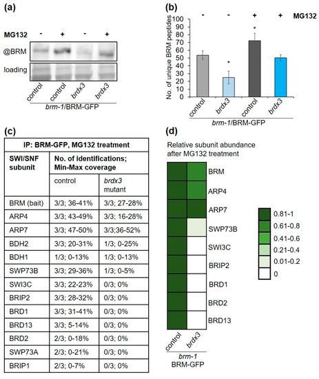 BRM Complex in Arabidopsis Adopts ncBAF-like Composition and Requires ...