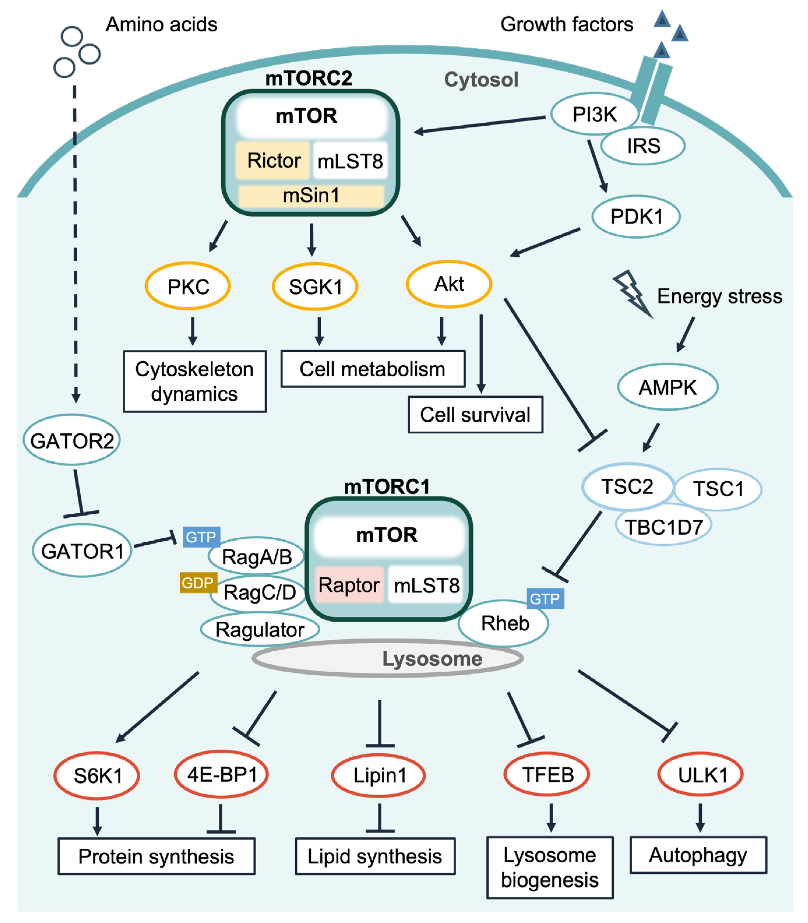 Cox Signaling Pathway | My XXX Hot Girl Cox Signaling Pathway | My XXX Hot Girl