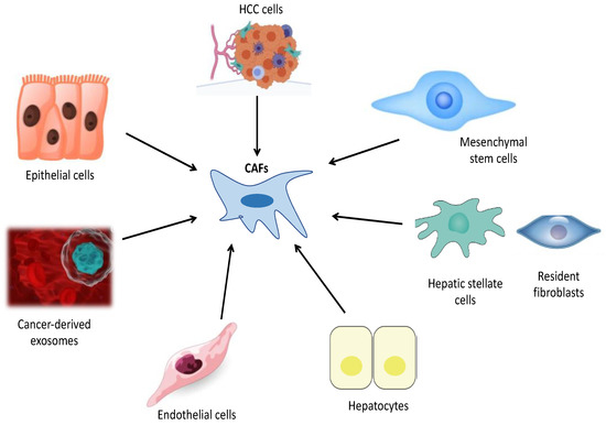 Emerging Role of Cancer-Associated Fibroblasts in Progression and ...