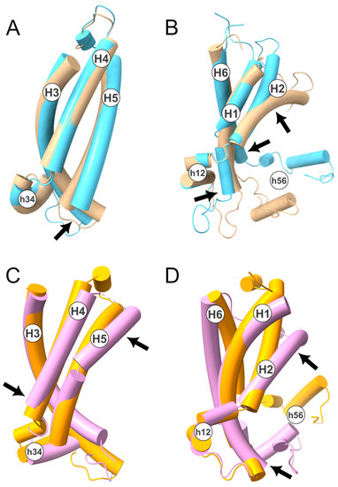 In Silico Analysis of the Structural Dynamics and Substrate Recognition ...