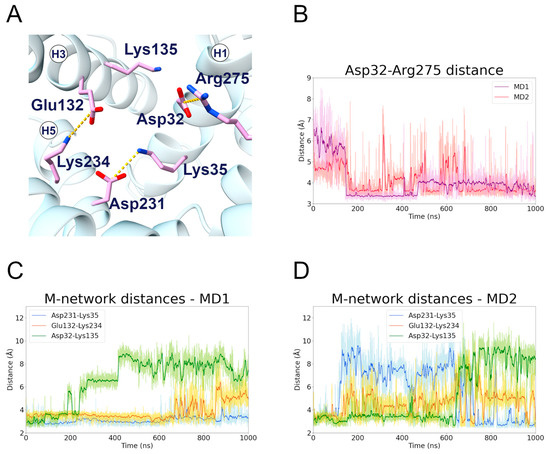 In Silico Analysis of the Structural Dynamics and Substrate Recognition ...