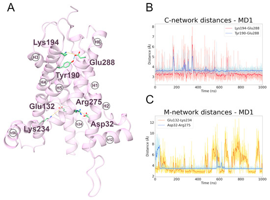 In Silico Analysis of the Structural Dynamics and Substrate Recognition ...