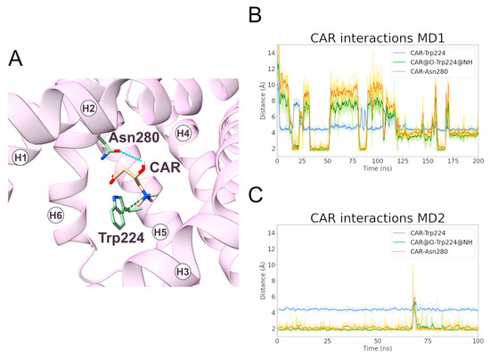 In Silico Analysis of the Structural Dynamics and Substrate Recognition ...