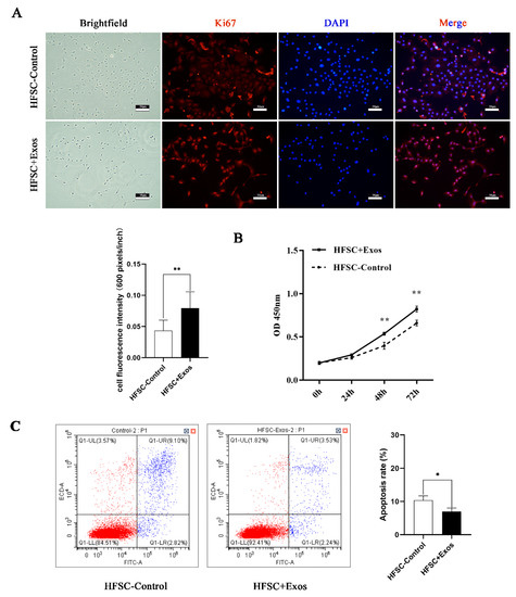 Dermal PapillaCell-Derived Exosomes Regulate Hair Follicle Stem Cell ...