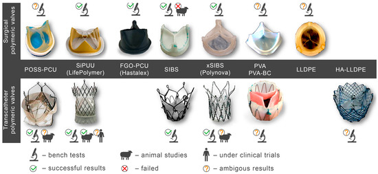 Polymeric Heart Valves Will Displace Mechanical and Tissue Heart Valves ...
