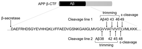 Specific Mutations near the Amyloid Precursor Protein Cleavage Site ...