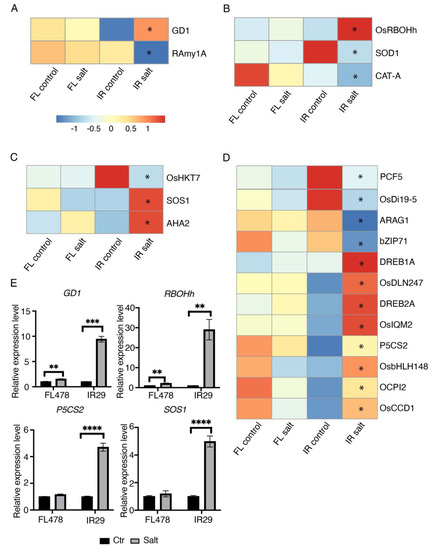 Transcriptome and DNA Methylome Analysis of Two Contrasting Rice ...