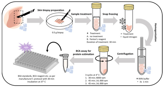 Imaging and Characterization of Oxidative Protein Modifications in Skin