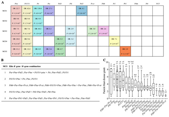 Identification of Elite R-Gene Combinations against Blast Disease in ...