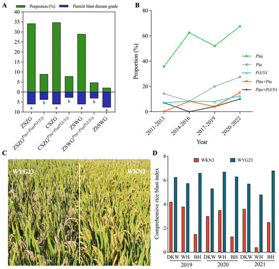 Identification of Elite R-Gene Combinations against Blast Disease in ...