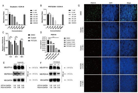 The Alpha-1 Subunit of the Na+/K+-ATPase (ATP1A1) Is a Host Factor ...