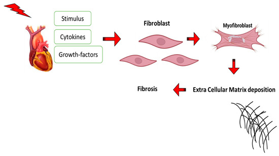 Fibrosis: Types, Effects, Markers, Mechanisms for Disease Progression ...