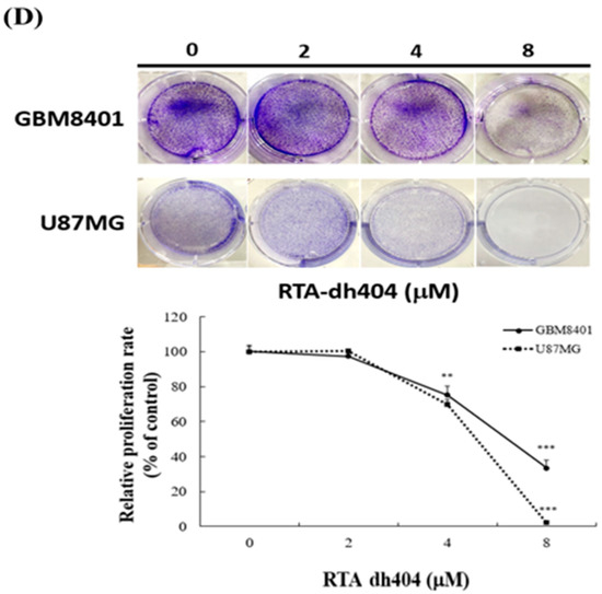 RTA dh404 Induces Cell Cycle Arrest, Apoptosis, and Autophagy in Glioblastoma Cells