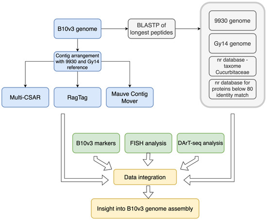 Insight into the Organization of the B10v3 Cucumber Genome by Integration of Biological and ...