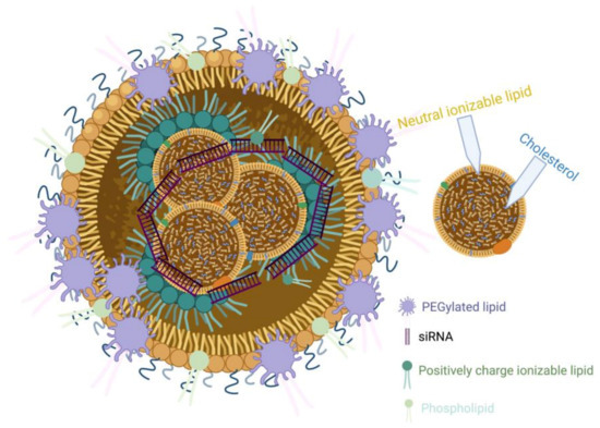 Development of Novel siRNA Therapeutics: A Review with a Focus on ...