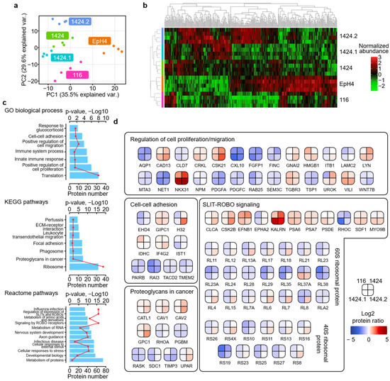Comparative Proteomics Analysis of Exosomes Identifies Key Pathways and ...