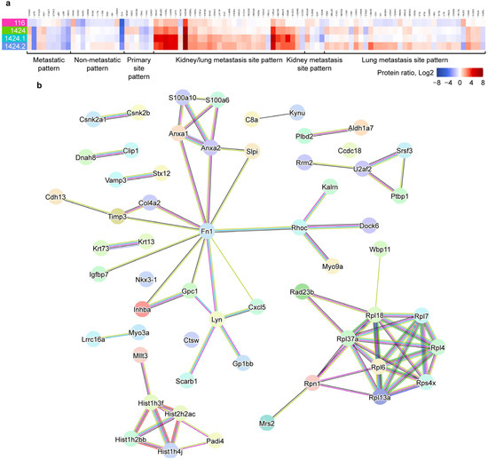 Comparative Proteomics Analysis of Exosomes Identifies Key Pathways and ...
